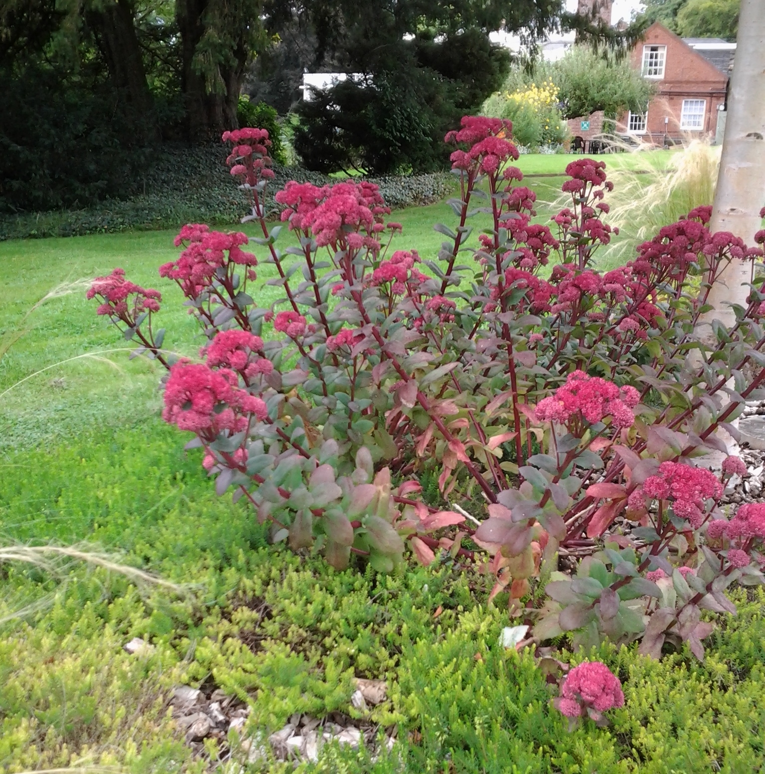 Advices & Queries at the Woodbrooke Quaker Study Centre – April Yamasaki